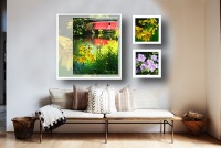 Home - Reflections Photographic Art